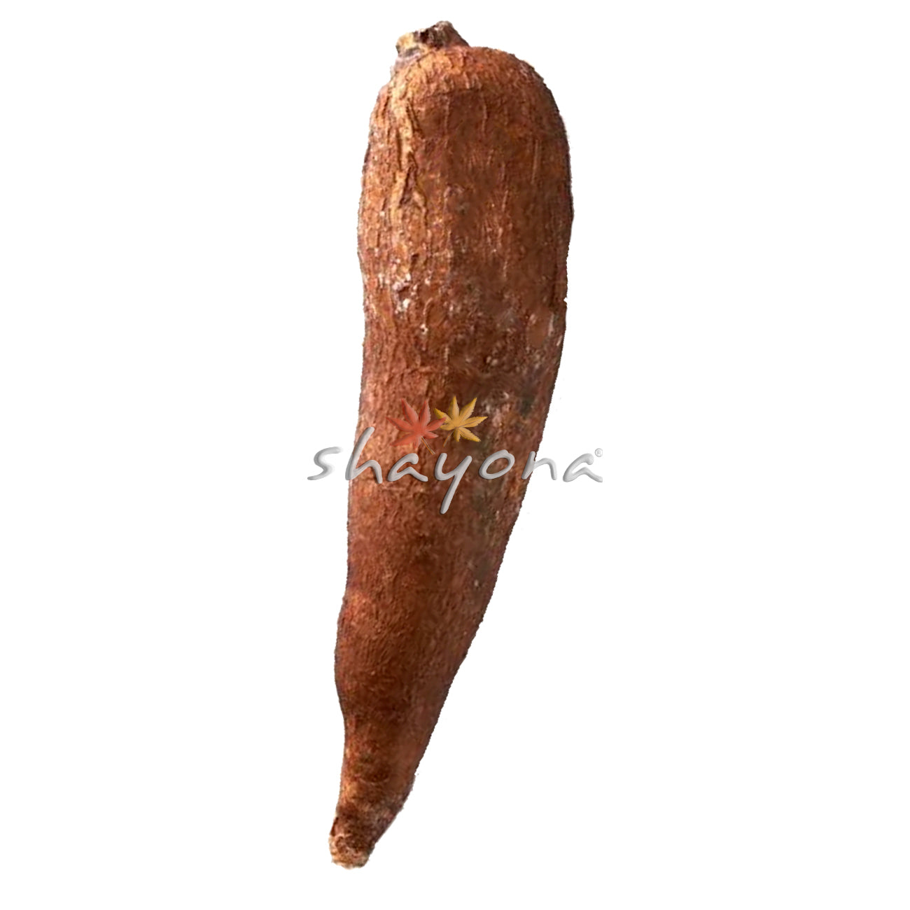 Cassava Climate Smart Cassava Gets New Use In Zambia: Hand Sanitiser