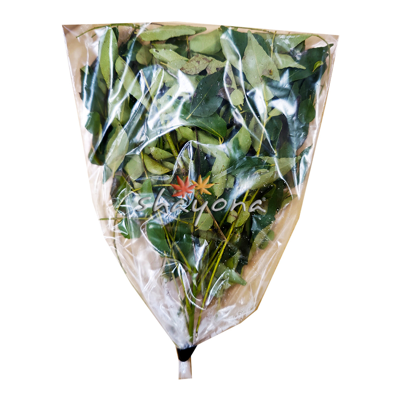 Curry Leaves Images New Tree Murukku Curry Leaf (150gm)