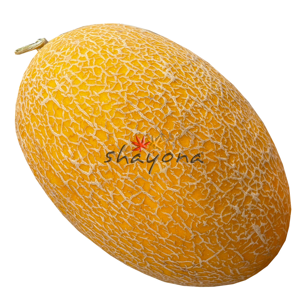 Iranian Melon – Shayona UK