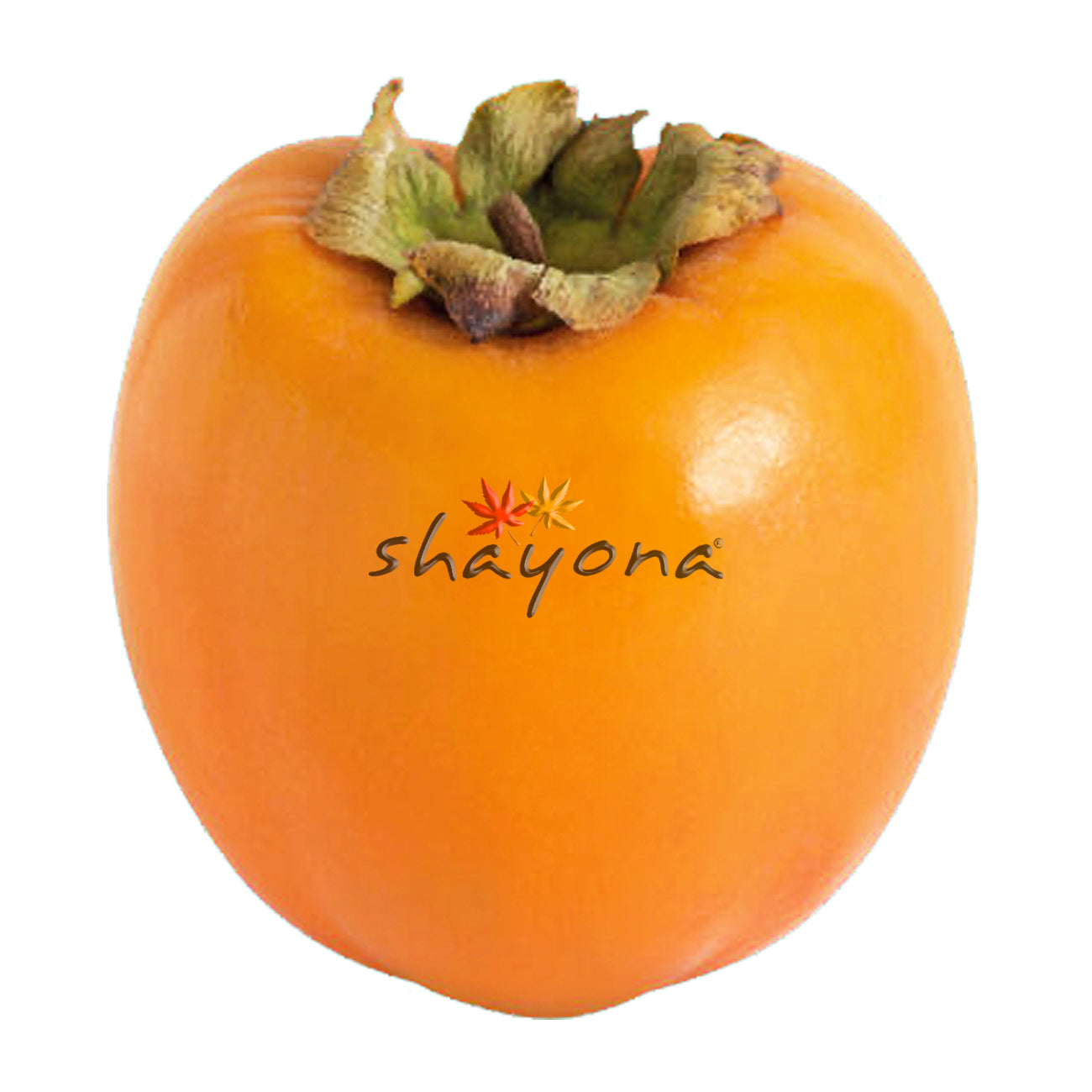 Persimmon Fruit